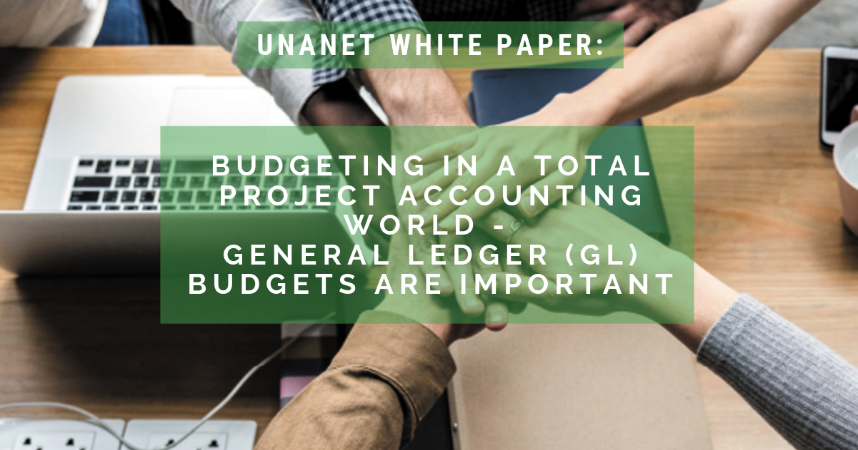 General Ledger Budgeting White Paper